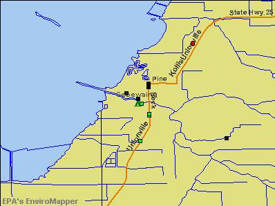 Sebewaing, Michigan (MI 48759) profile: population, maps, real estate ...