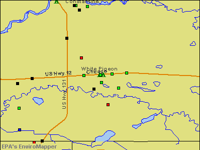 White Pigeon, Michigan (MI 49099) profile: population, maps, real ...