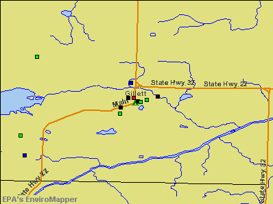 Gillett, Wisconsin (WI 54124) profile: population, maps, real estate ...
