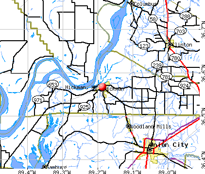 Hickman, Kentucky (KY 42050) profile: population, maps, real estate ...