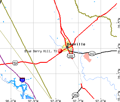 Blue Berry Hill, Texas (TX 78102) profile: population, maps, real ...