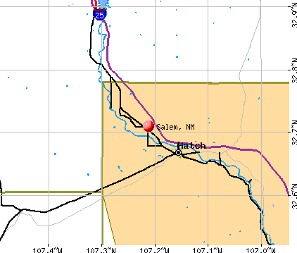 Salem, New Mexico (NM 87941) profile: population, maps, real estate ...