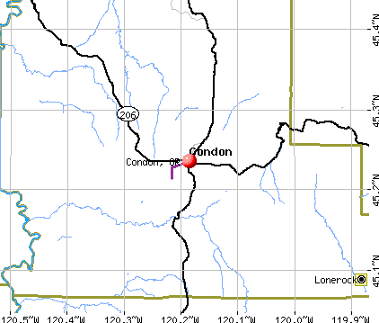 Condon, Oregon (OR 97823) profile: population, maps, real estate ...