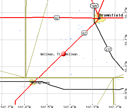 Wellman, Texas (TX 79378) profile: population, maps, real estate ...