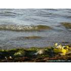 Whitewater, WI : Whitewater Lake - next to Beach photo, picture, image ...