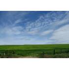 Moro, OR : Hwy 97 thru town photo, picture, image (Oregon) at city-data.com