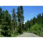 Hines, Oregon (OR 97738) profile: population, maps, real estate ...