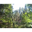 Crestline, CA : "Winter Storm" rim above HWY 118 Crestline, CA photo ...