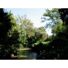 Huntington, WV : ritter park in the spring photo, picture, image (West ...