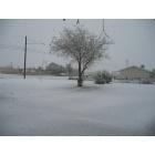 Yucca Valley, CA : joshuatree december 17,2008 snow storm photo ...