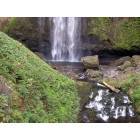 Portland, OR : Multnomah Falls near Portland photo, picture, image ...