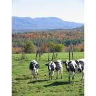 Whiting, VT : Peaceful landscape photo, picture, image (Vermont) at ...