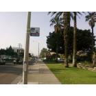 Anaheim, CA : Harbor Blvd photo, picture, image (California) at city ...