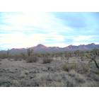 Dolan Springs, AZ : Taken from Ocitillo Road photo, picture, image ...