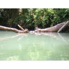 Hardy, AR : Hardy Spring River photo, picture, image (Arkansas) at city ...