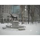 Portland, OR : A Downtown Icon photo, picture, image (Oregon) at city ...