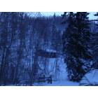 Hughes, AK : Cabin in the woods, toward the bluff of the Koyukuk river ...
