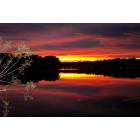 Whispering Pines, NC : Spring Valley Lake at Sunset photo, picture ...