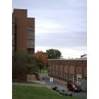 St. Paul, MN : University of Minnesota St. Paul campus photo, picture ...