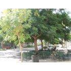Riverside, CA : Fireworks on the top of Mt. Rubidoux on 4th of July ...