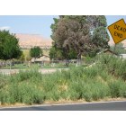 Bunkerville, NV : Dead End; literally photo, picture, image (Nevada) at ...