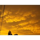 Glendale, Oregon (OR 97442) profile: population, maps, real estate ...