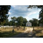 Ward, South Carolina (SC 29166) profile: population, maps, real estate ...