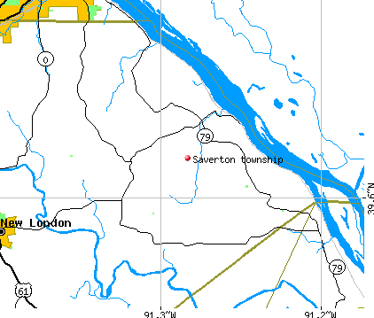 Saverton township, Ralls County, Missouri (MO) Detailed Profile