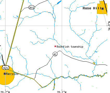 Rockfish township, Duplin County, North Carolina (NC) Detailed Profile