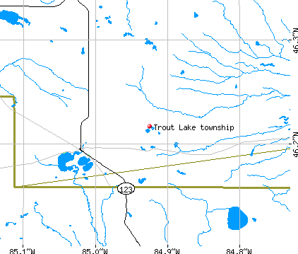 Trout Lake township, Chippewa County, Michigan (MI) Detailed Profile