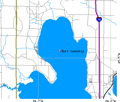 Burt township, Cheboygan County, Michigan (MI) Detailed Profile