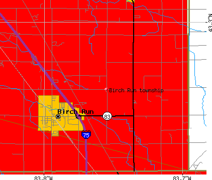 Birch Run township, Saginaw County, Michigan (MI) Detailed Profile