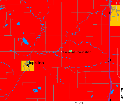 Hopkins township, Allegan County, Michigan (MI) Detailed Profile