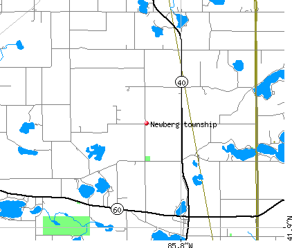 Newberg township, Cass County, Michigan (MI) Detailed Profile