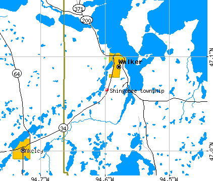 Shingobee township, Cass County, Minnesota (MN) Detailed Profile