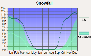 Northway Village, Alaska (AK 99764) profile: population, maps, real ...