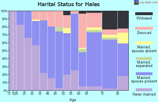01001 Zip Code (Agawam Town, Massachusetts) Profile - homes, apartments ...