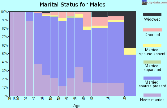 02446 Zip Code (Brookline, Massachusetts) Profile - homes, apartments ...