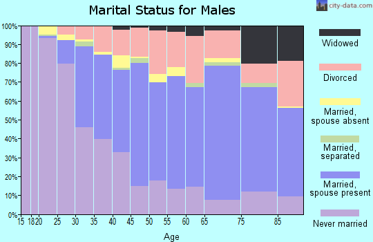 03103 Zip Code (Manchester, New Hampshire) Profile - homes, apartments ...