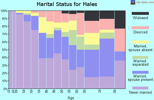 10031 Zip Code (New York, New York) Profile - homes, apartments ...