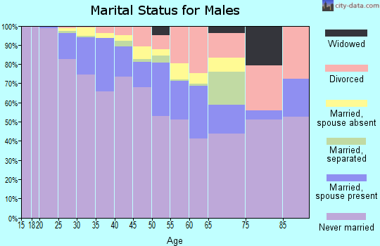 10036 Zip Code (New York, New York) Profile - homes, apartments ...