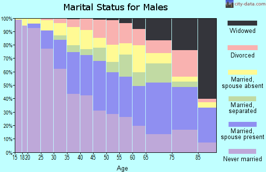 10456 Zip Code (New York, New York) Profile - homes, apartments ...