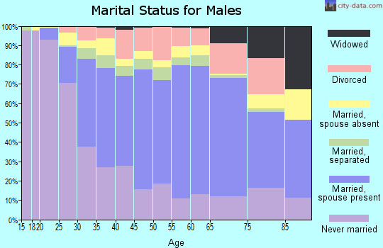 10940 Zip Code (Middletown, New York) Profile - homes, apartments ...