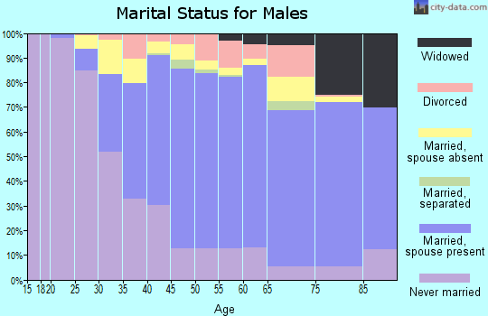 11003 Zip Code (Elmont, New York) Profile - homes, apartments, schools ...