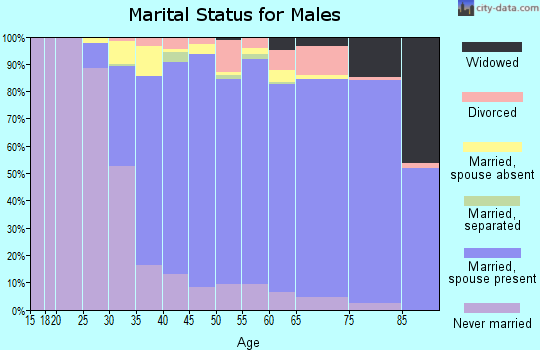 11040 Zip Code (North New Hyde Park, New York) Profile - homes ...