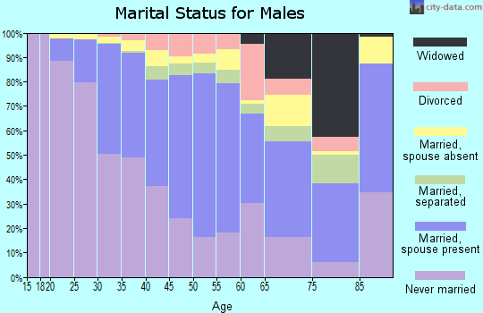 11205 Zip Code (New York, New York) Profile - homes, apartments ...