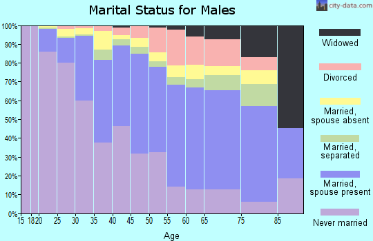 11206 Zip Code (New York, New York) Profile - homes, apartments ...
