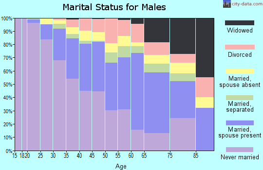 11221 Zip Code (New York, New York) Profile - homes, apartments ...