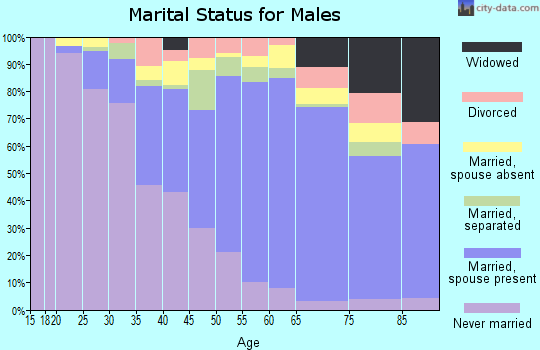 11411 Zip Code (New York, New York) Profile - homes, apartments ...