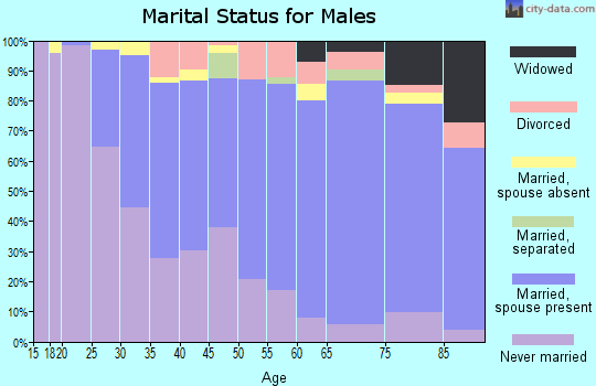 11414 Zip Code (New York, New York) Profile - homes, apartments ...
